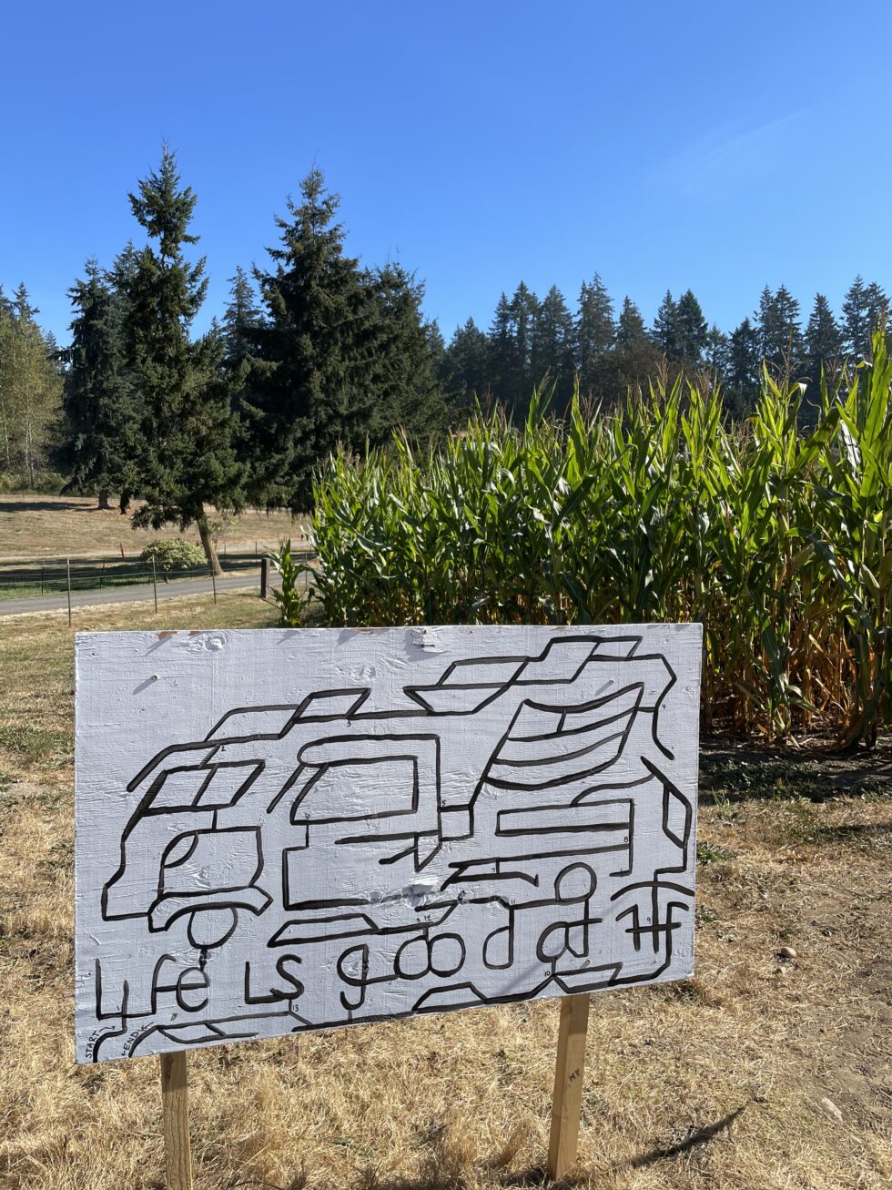 Corn Maze Washington | Corn Maze Pierce County Enumclaw Washington